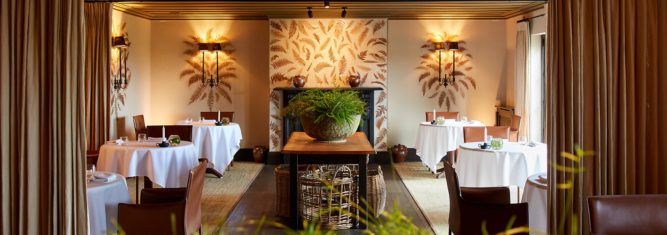 Review of The Fernery at Grove of Narberth, Narberth, Pembrokeshire ...